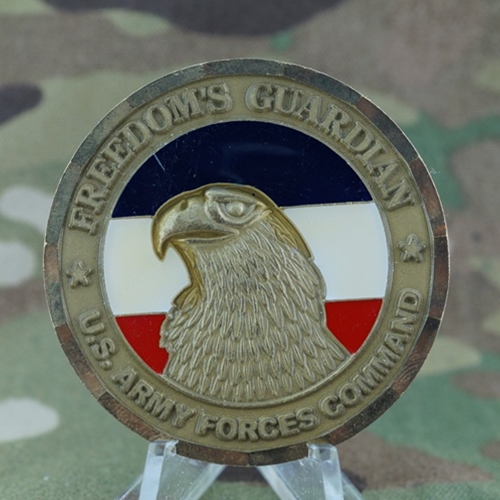 Eagles of War - U.S. Army Forces Command (FORSCOM), CSM, Type 1