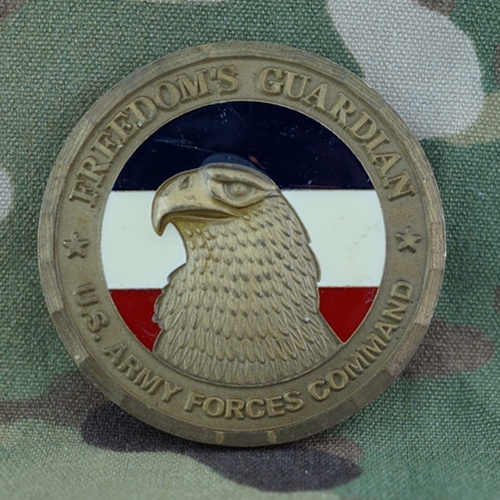 Eagles of War - U.S. Army Forces Command (FORSCOM), CSM, Type 2